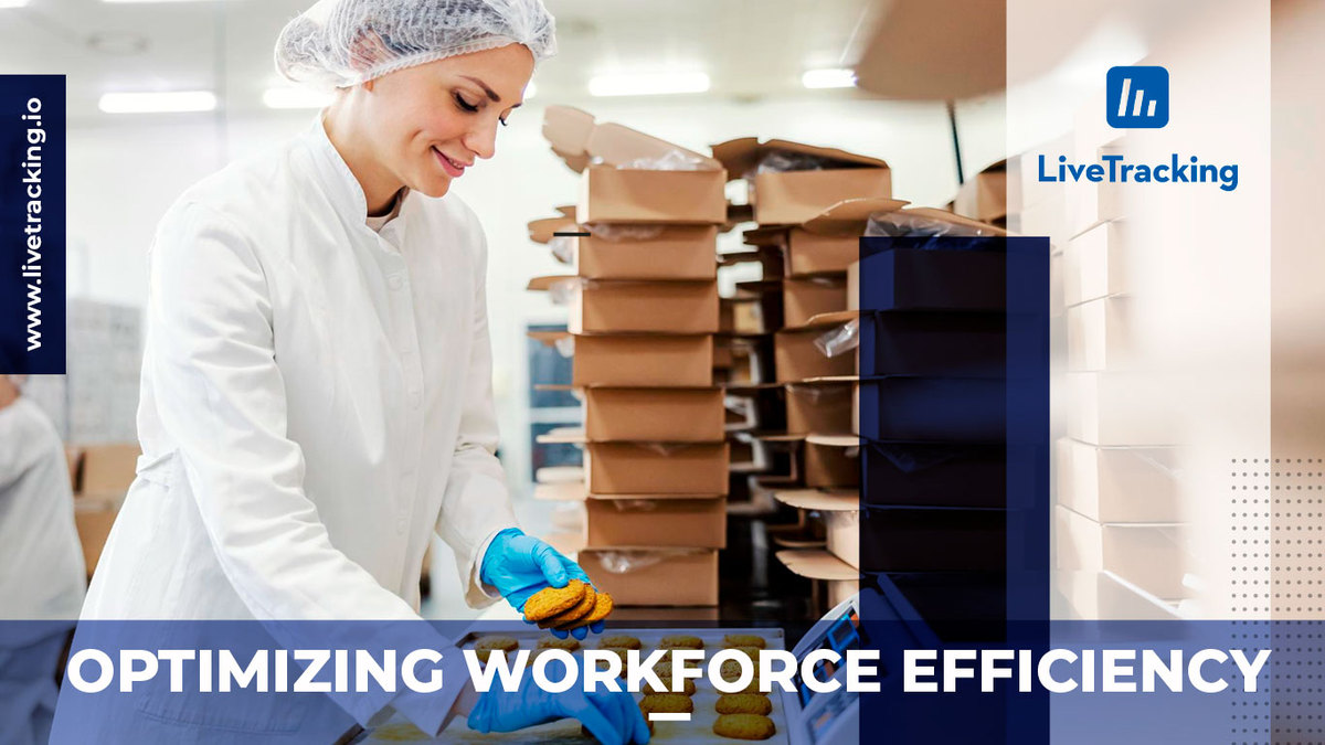 Project Management Software: Optimizing Workforce Efficiency